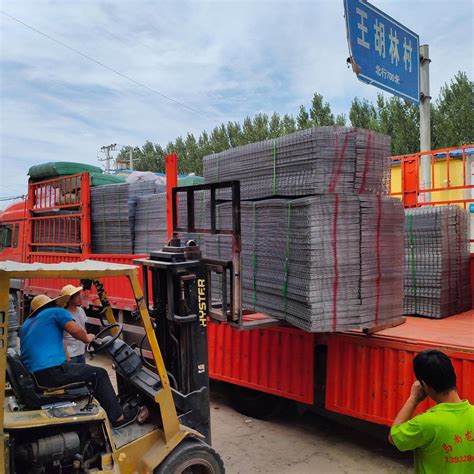 新疆昭苏县推荐：肉鸽养殖成本直降 60！马尚鸽笼的秘密武器大公开饲料工艺结构