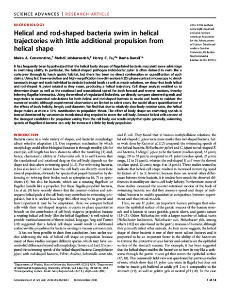 Pdf Helical And Rod Shaped Bacteria Swim In Helical Trajectories With