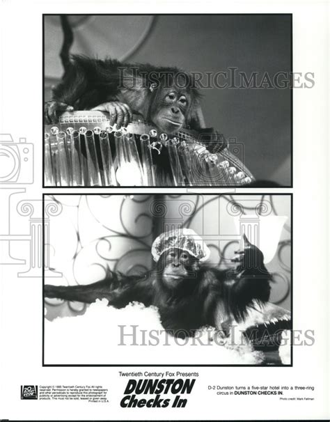 1996 Press Photo Dunston In Dunston Checks In Cvp61221 Historic Images