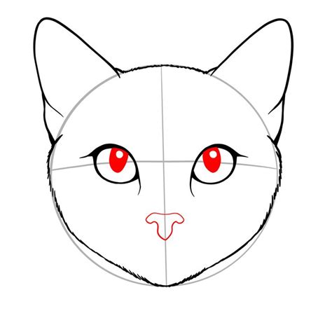 How To Draw Cats 19 Easy Guides In One Tutorial Sketchok How To