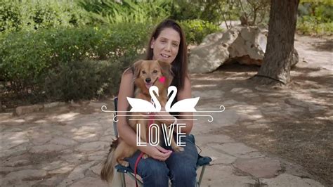 קורס אילוף כלבים וכלבנות טיפולית במרכז הכלב והאדם תלמידים ממליצים סיפורים אישיים Youtube