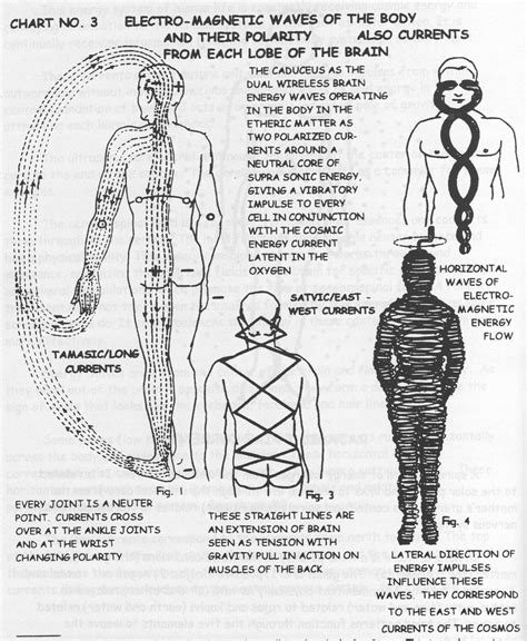 Collection Of Human Frequencies Reflexology Chakra Charts Energy