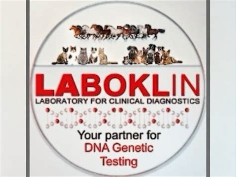 Laboklin Genetic Testing 10 Discount Now Extended To 31 December 2024 Laboklin Genetic Testing 10 Discount Now Extended To 31 December 2024