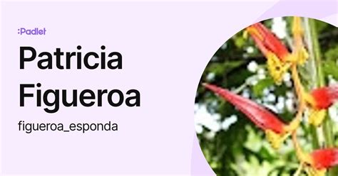 Patricia Figueroa Figueroaesponda Profile Padlet