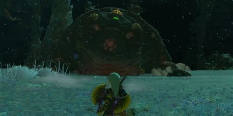 All Frox In The Depths Locations In Zelda Totk