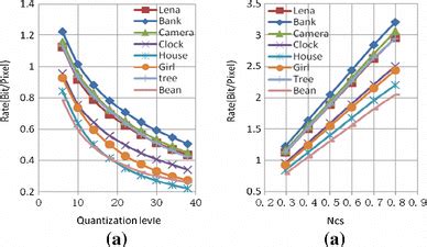 Relationship Of Coding Rate And Parameters With Image Format Download Scientific Diagram