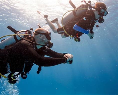 Scuba Diving Courses Beginner To Professional