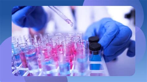 Brca 12 Test Mammologicum