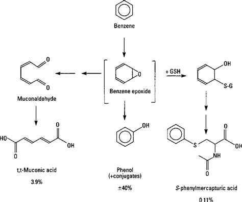 Figure 1 From Suitability Of S Phenyl Mercapturic Acid And Trans Trans