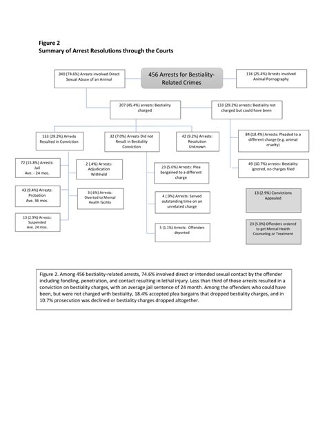 Adjudication Of Animal Sex Abuse Cases Varied Widely Download