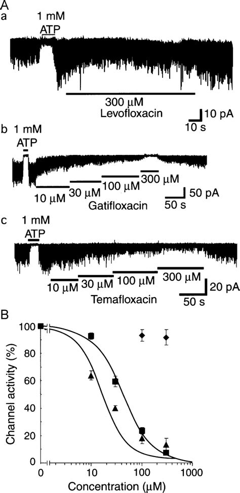 Effects Of Levofloxacin Gatifloxacin Or Temafloxacin On Reconstituted