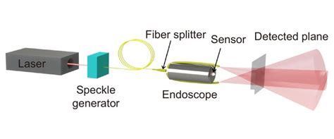 Cathy Yip On Linkedin Structured Illumination Microscopy Sim Is One