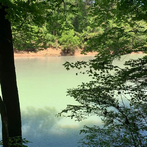 Long Pool Recreation Area Camping Dover Ar