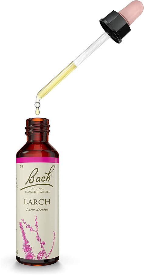 Bach Flower Remedies Larch 20ml Natural Floral Essence For Confidence
