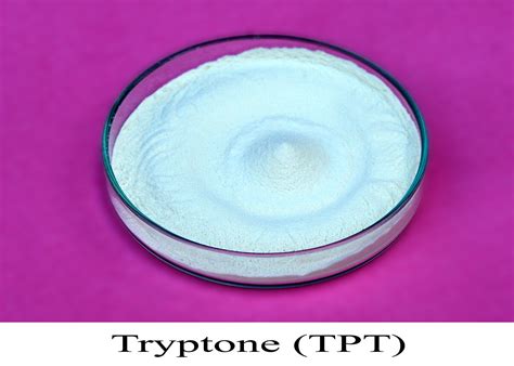 Tryptone Bacteriological Grade Chaitanya Group Of Industries