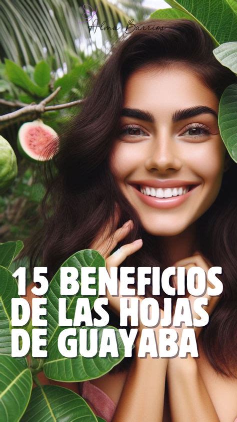 Hoja De Guayaba Beneficios