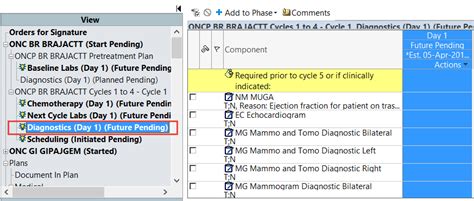 Order Oncology Chemotherapy Regimens And Powerplans