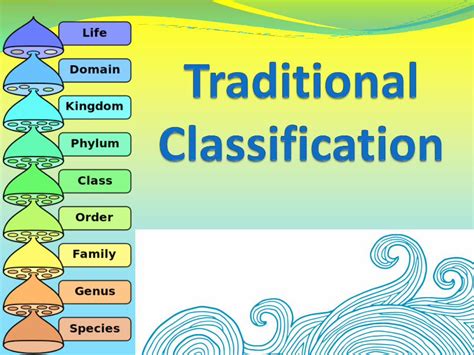 Pdf Lesson 7 1 Traditional Classification Dokumen Tips