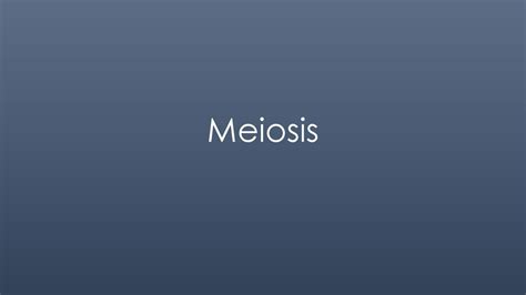 Ppt Meiosis Powerpoint Presentation Free Download Id