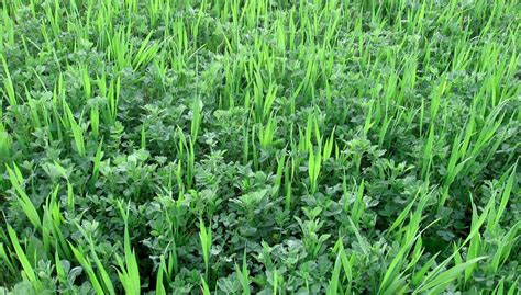 Protecting The Nature And Related Ecosystem Services