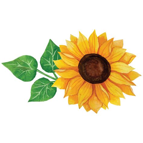 Sunflower Clip Art