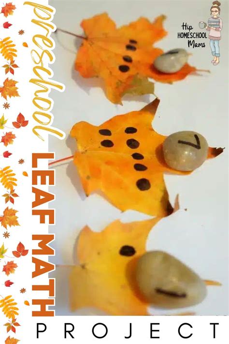 6 Fun Preschool Leaf Math Projects
