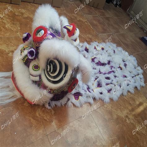 驰笠舞狮套装南狮醒狮舞龙全套佛山狮竹编狮头舞狮道具成人双人全套 双人 紫底白毛舞狮【图片 价格 品牌 报价】 京东