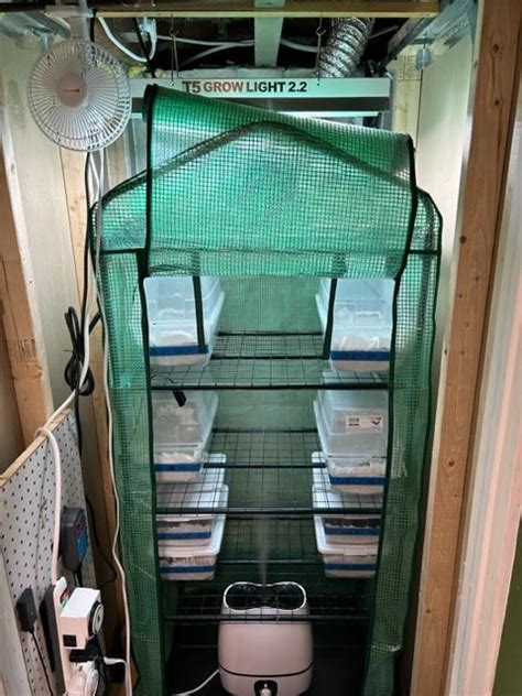 Bubble Wrap Tek Take 1 Details In Comments Rphillygoldenteacher