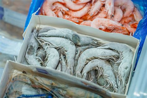 Ngành Xuất Khẩu Tôm Việt Nam Thách Thức Và Cơ Hội Trước Phán Quyết Của Doc