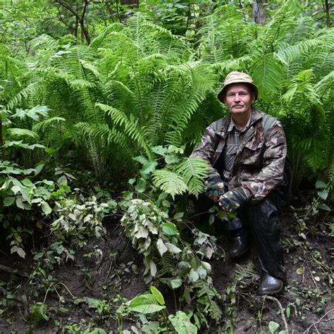 Gamtos Fotografas Rimantas Nalivaika Užburianti Gamtos Trauka Ir Gilūs Fotografijos Vandenys