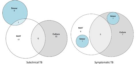 Microbiological Methods Of Tb Diagnosis Naat Nucleic Acid