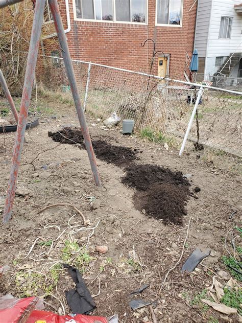 Reclaimed A Dead Yard From Heavy Tarp And Much Hell Rnolawns