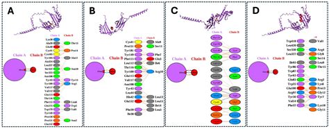 A Pan H5n1 Multiepitope Dna Vaccine Construct Targeting Some Key