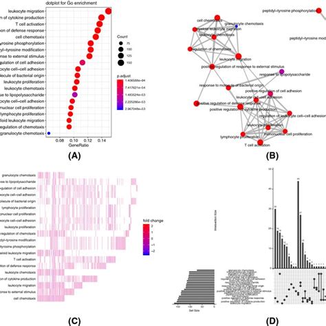 Functional Enrichment A Dot Plot Of The Top 20 Functions The Color