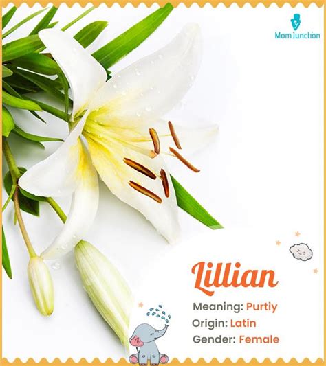 Lillian A Beautiful Latin Name