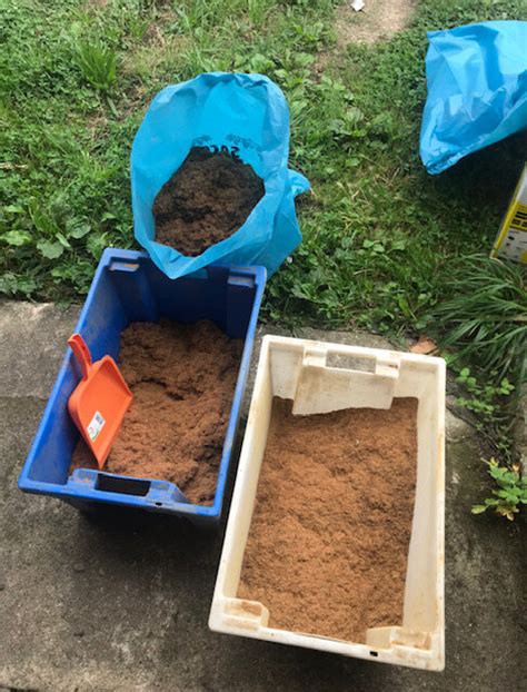 Bojo Do Luar — Savio Soares Selections