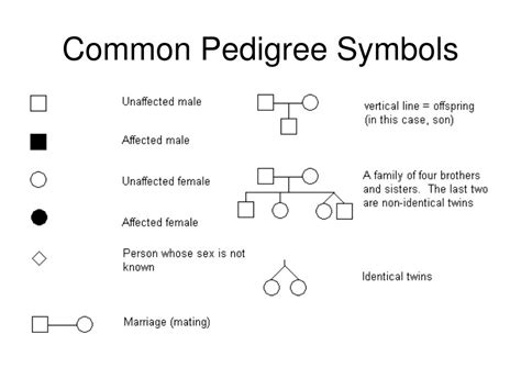 Ppt Pedigree Notes Powerpoint Presentation Free Download Id 332491