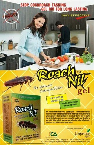 10gm Cockroach Killer Gel Packaging Type Box Packing At ₹ 35 In Jabalpur