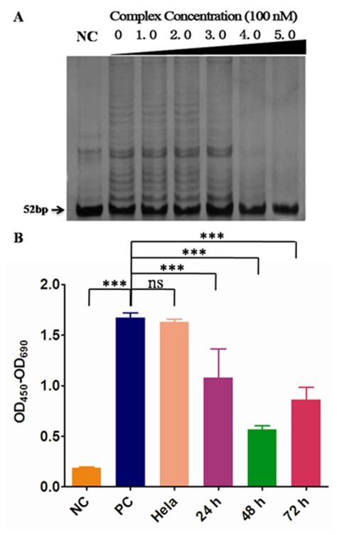 Trap Assay With Hela Cells At Gradient Concentrations Of Download