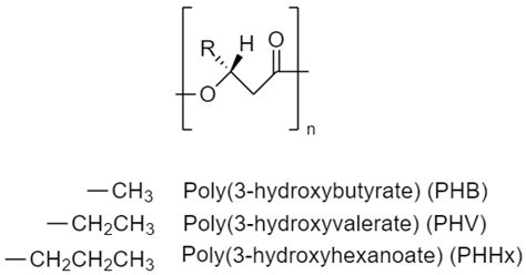 Biomedical Applications Of The Biopolymer Poly3 Hydroxybutyrate Co 3
