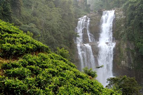 Waterfalls Experience In Wayanad