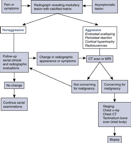 Chondrosarcoma Oncohema Key