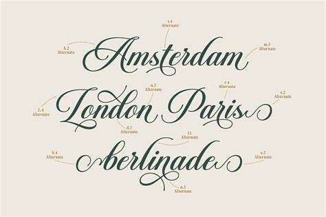 Tải Xuống Tổng Hợp 25 Font Chữ Hoa Đẹp Việt Hoá Cho Thiết Kế Chuyên