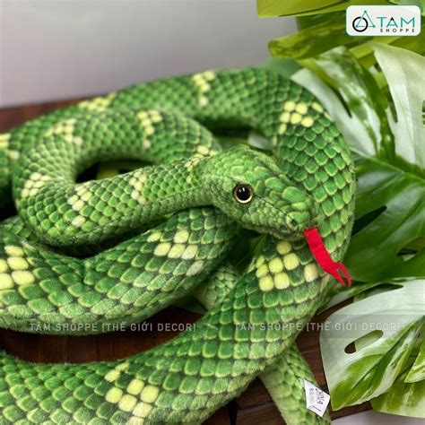 Tâm Shoppe Thế Giới Decor