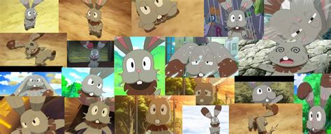 Bunnelby Collage By Cozyglow Sweetie Tf On Deviantart