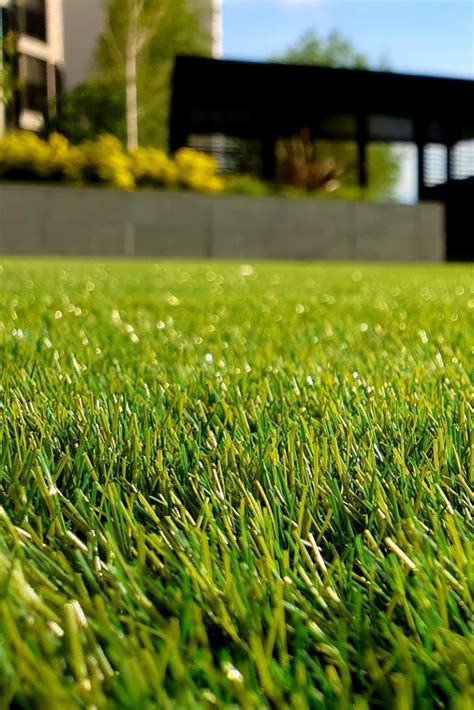 Best 13 Bermuda Grass Vs Crabgrass Identification And Differences With