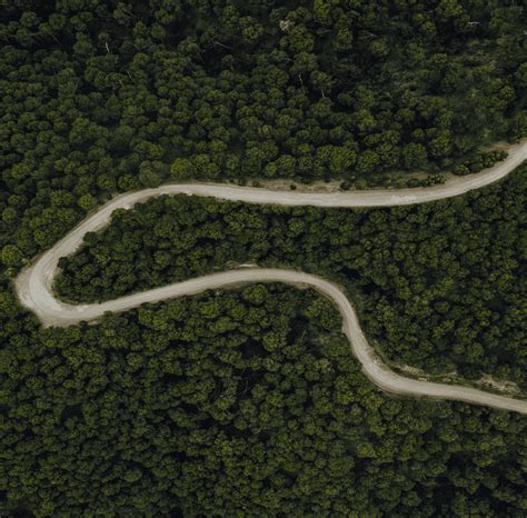 Beat Holiday Blues With This Payment Testing Checklist Testlio