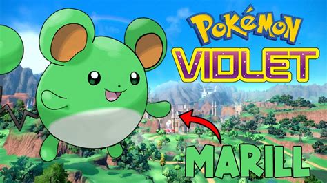 I Caught A Shiny Marill In Pokémon Scarlet And Violet Mass Outbreak