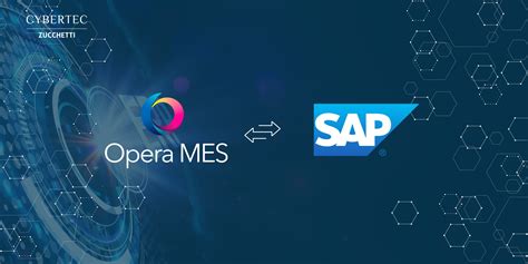 Quale Mes Integrare Con Sap Erp Operames