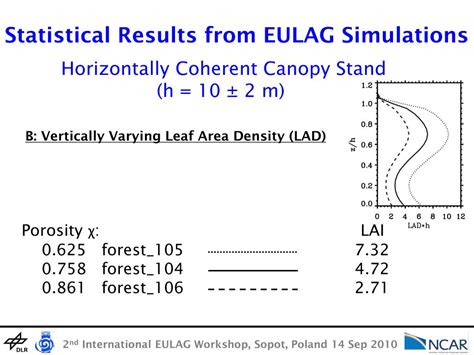 Ppt Modeling Flows Through Canopies With Immersed Boundary Methods